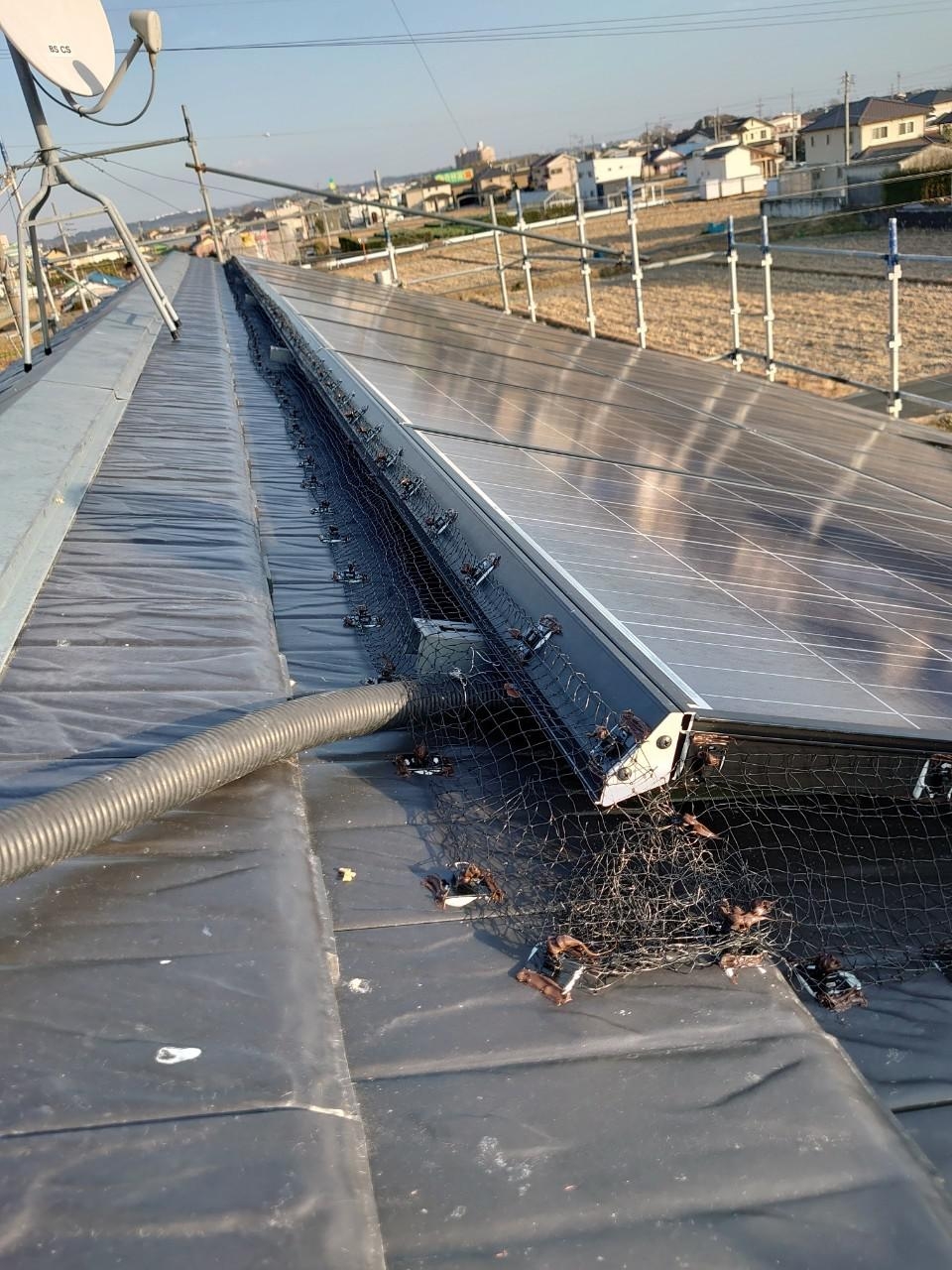 Https Www Hatoyoke Jp Column E6 9d B1 E5 8c Bah E6 A7 98 E3 80 80 E9